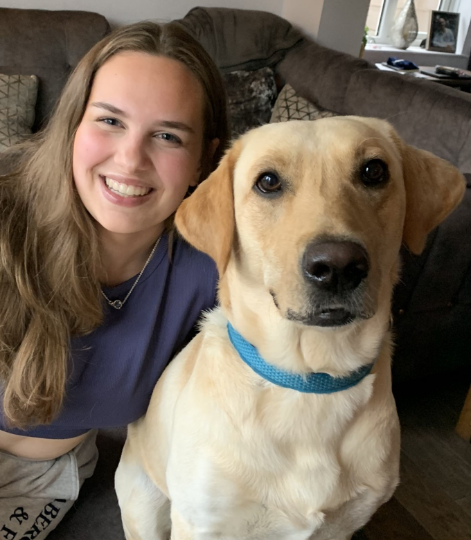Vets in Ashford | Open on Sundays | Companion Care