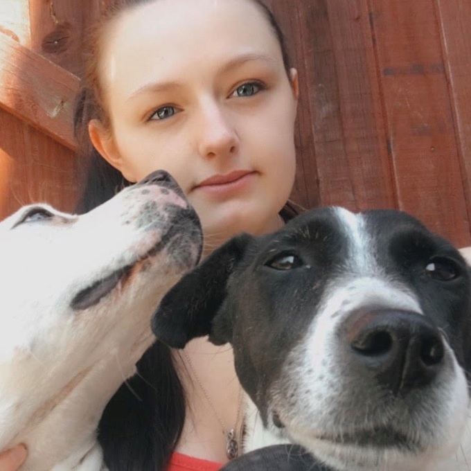 Companion Care Basingstoke Vets – Basingstoke Vet