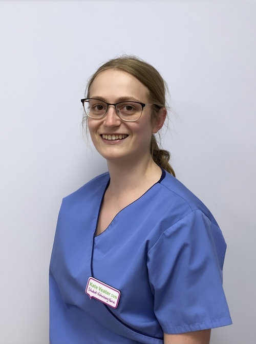 Vets in Weston-super-Mare | Open on Sundays | Companion Care