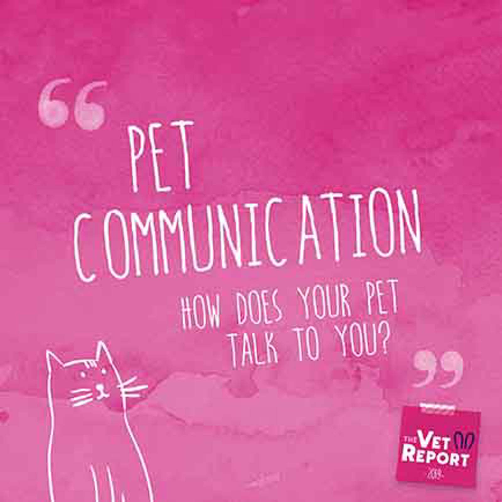 Vet Report | Vets4Pets