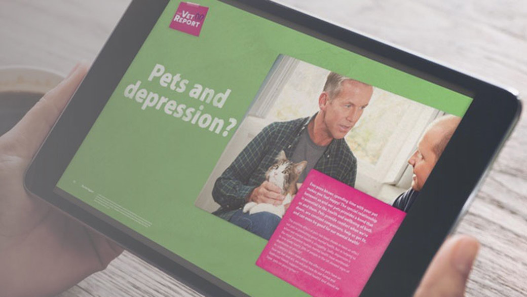 Vet Report | Vets4Pets