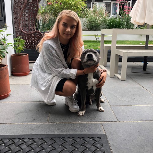 Vets in Basingstoke | Companion Care