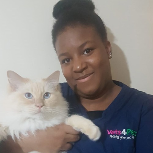 Vets in Oldbury | Companion Care